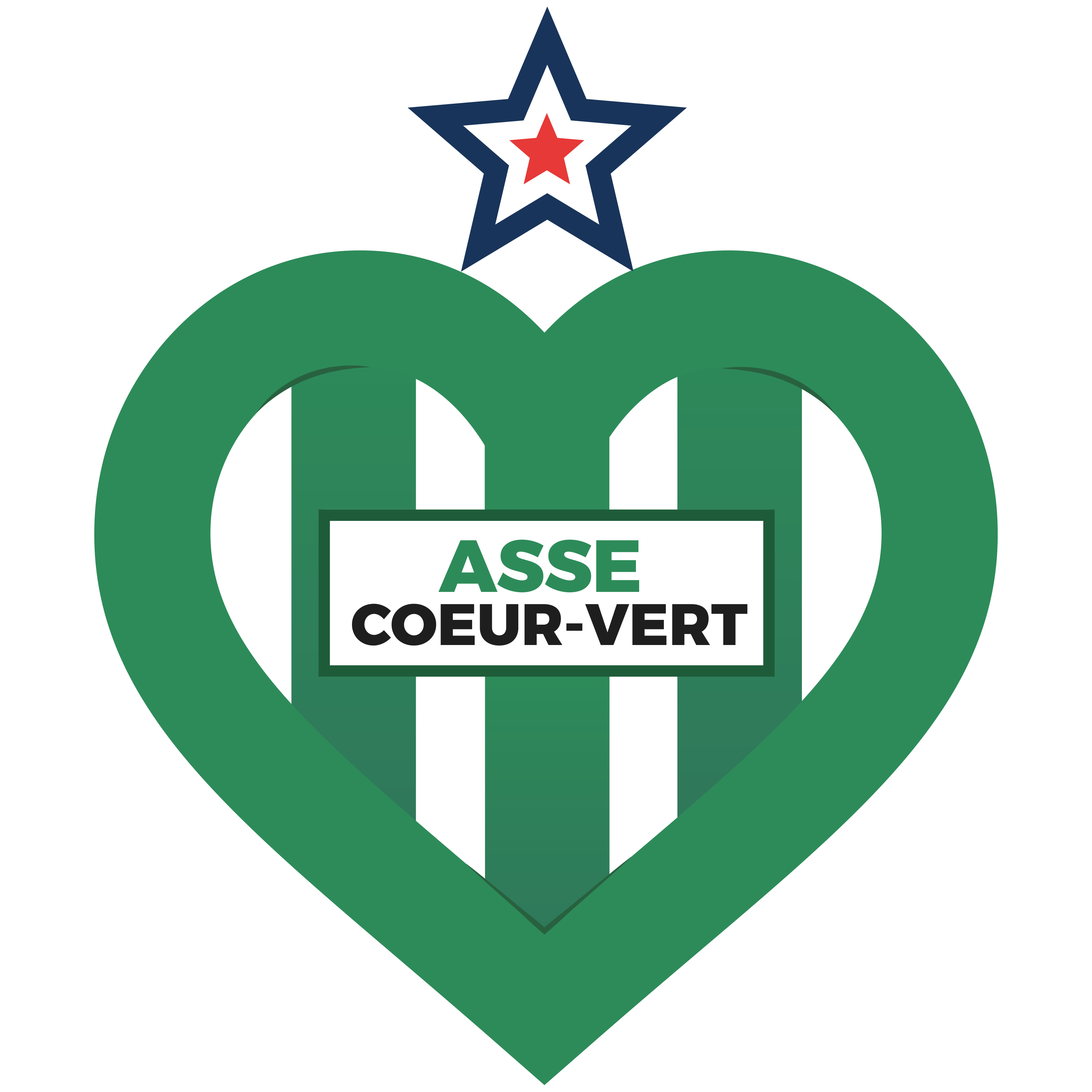 ASSE : programme Membre - La carte membre officielle de l'AS Saint ...